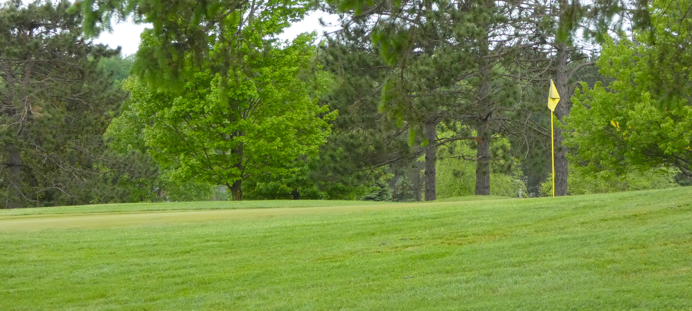 2023 HGC Video Content Recap - Hayward Golf Course