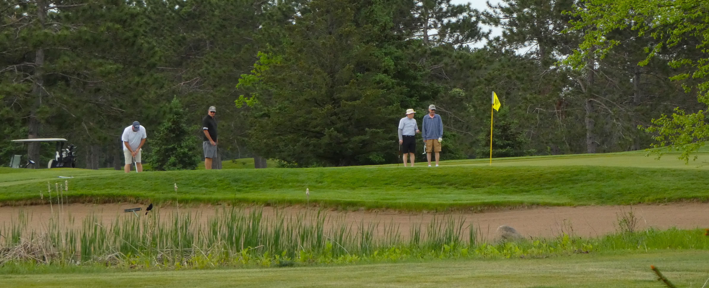 REMINDER: Men's Club Championship - September 16th & 17th - Hayward ...