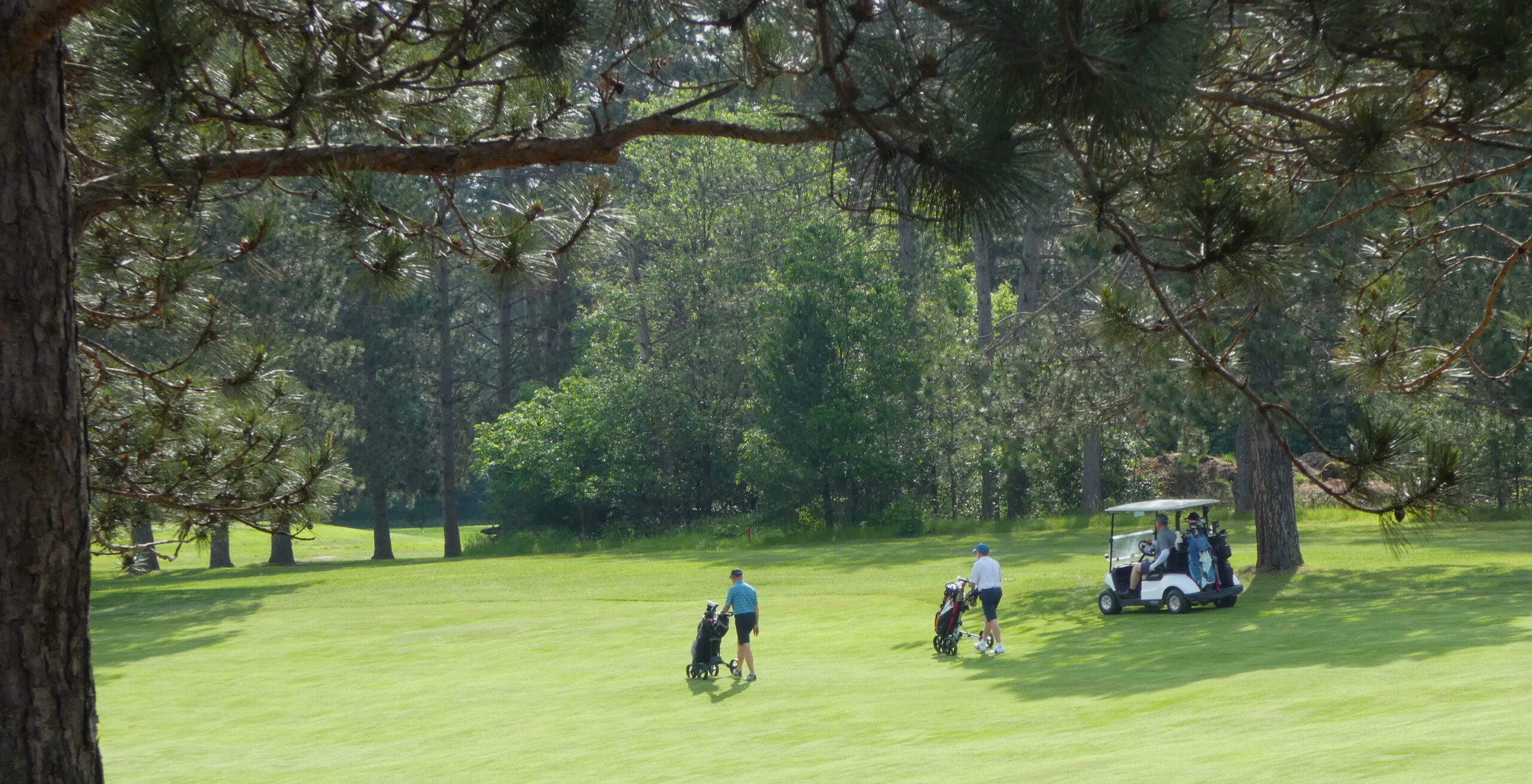 10th Annual Summer Classic: July 14th / U.S. Open Pool Reminder ...