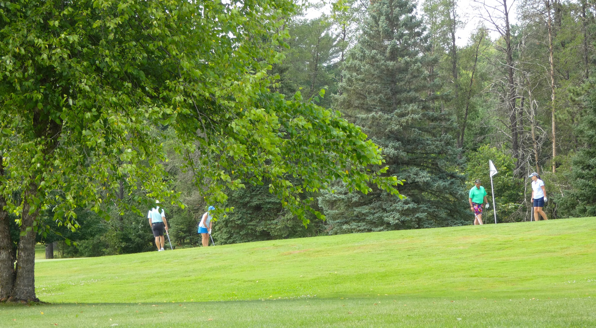 Your 2024 Couples Club Champions! - Hayward Golf Course