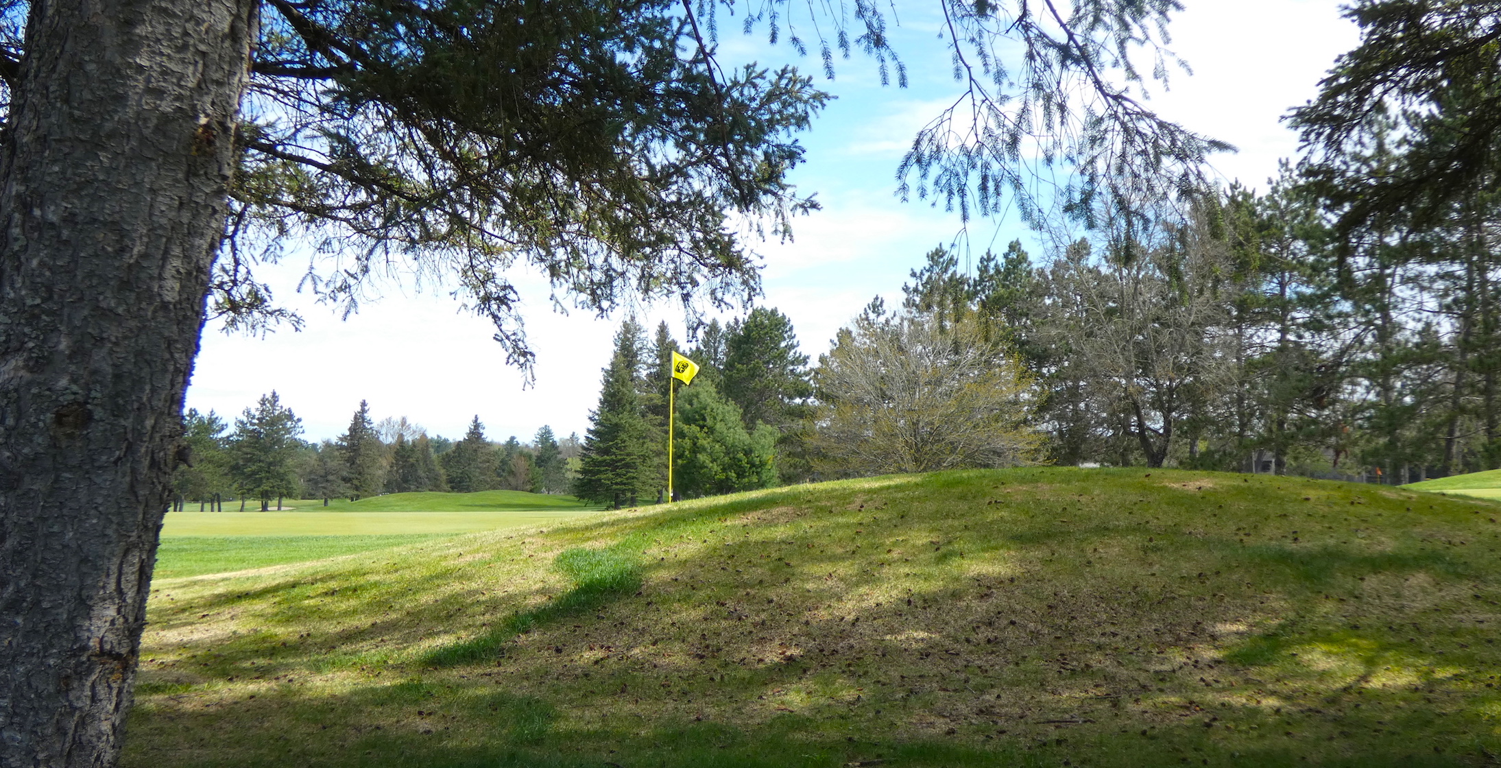 Upcoming Fitting Days: Callaway & PXG - Hayward Golf Course