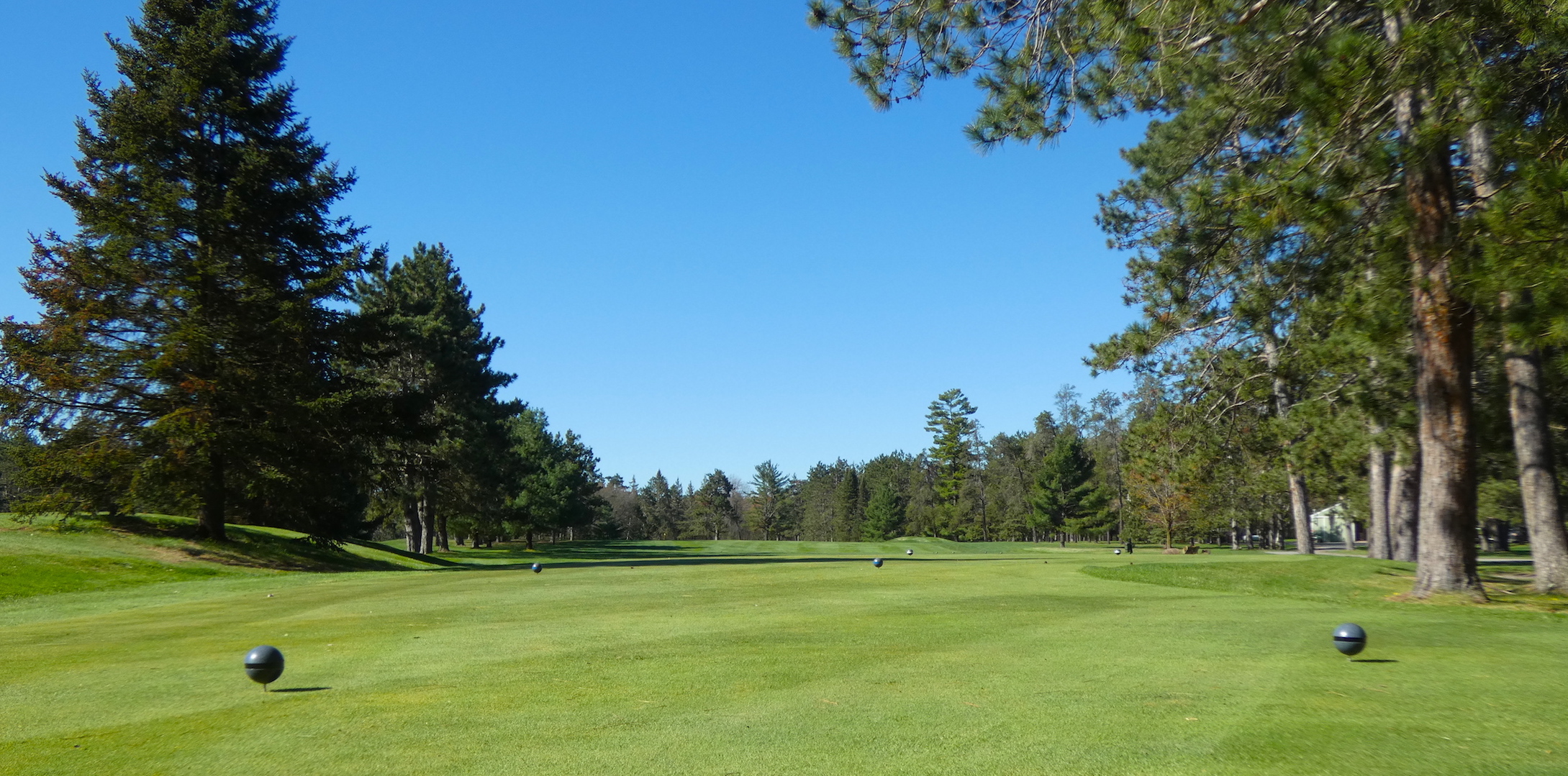 A Word From Our Superintendent - Hayward Golf Course