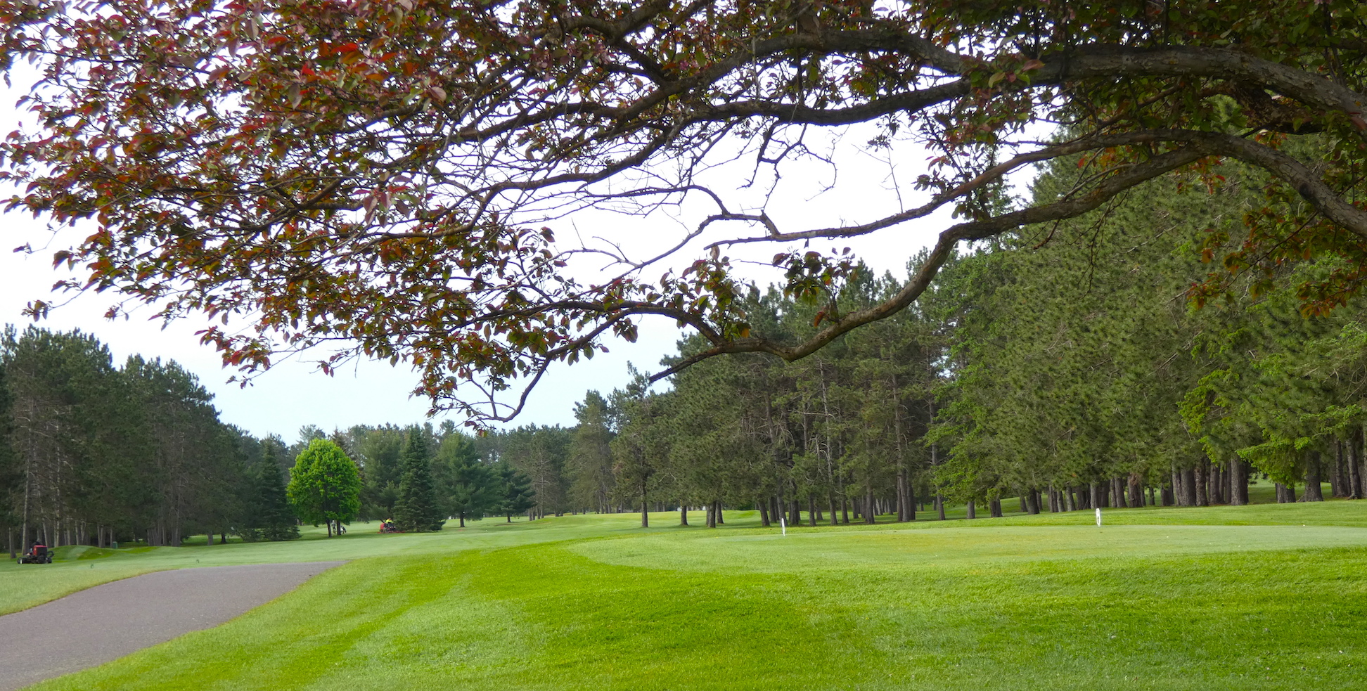 2025 Hayward Open Results - Hayward Golf Course