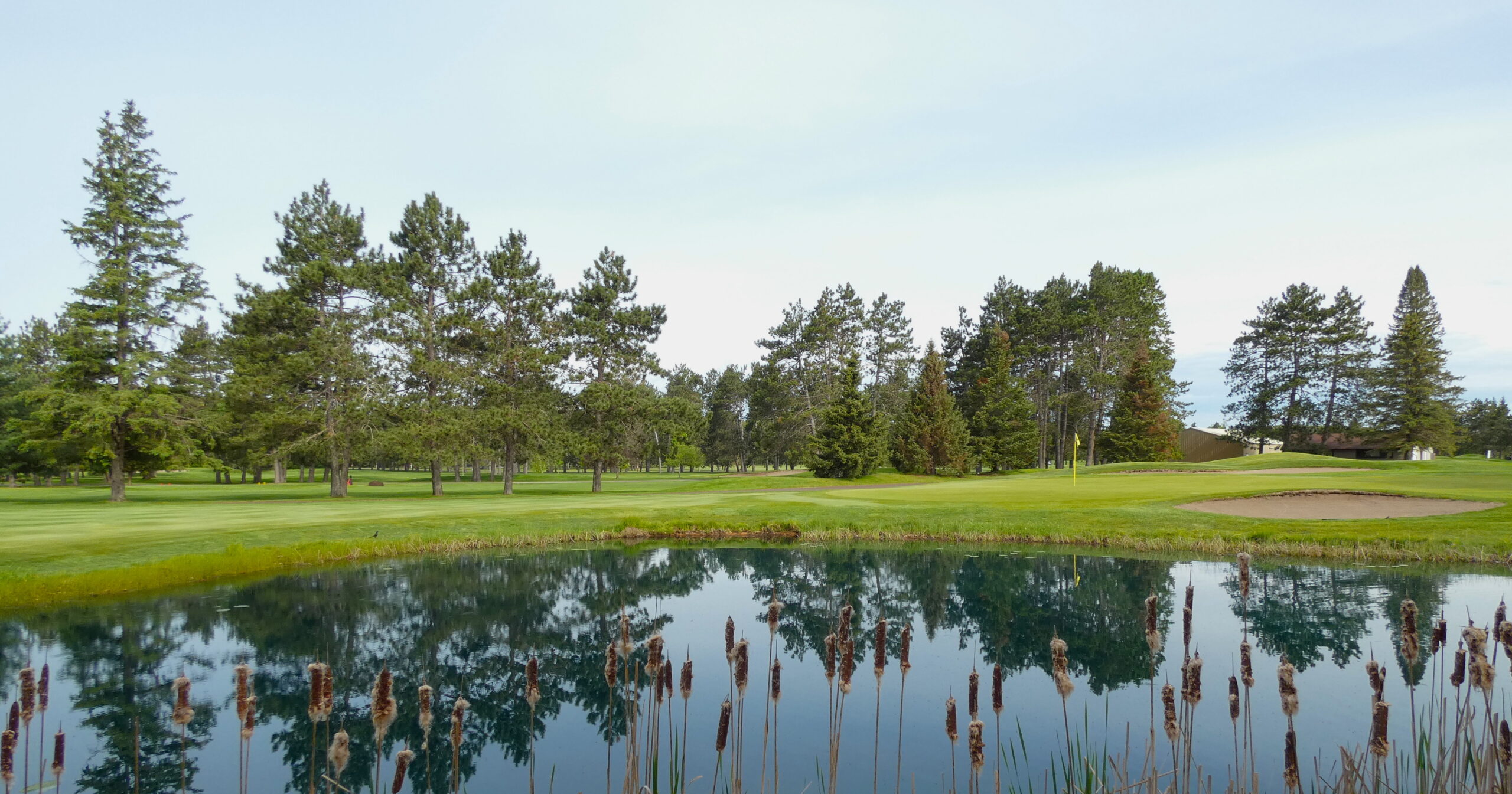 Help Us Improve the HGC Experience - Hayward Golf Course
