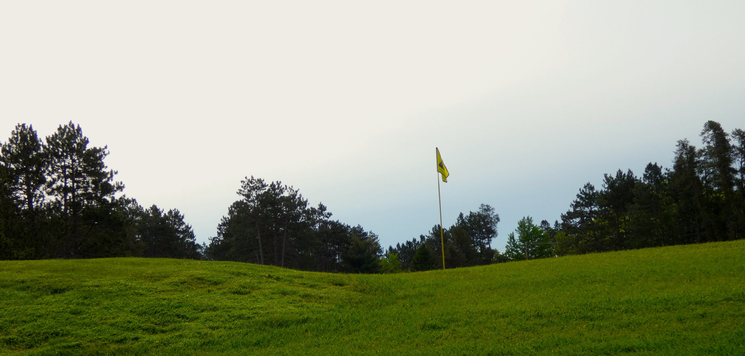 2025 Season in Review! - Hayward Golf Course