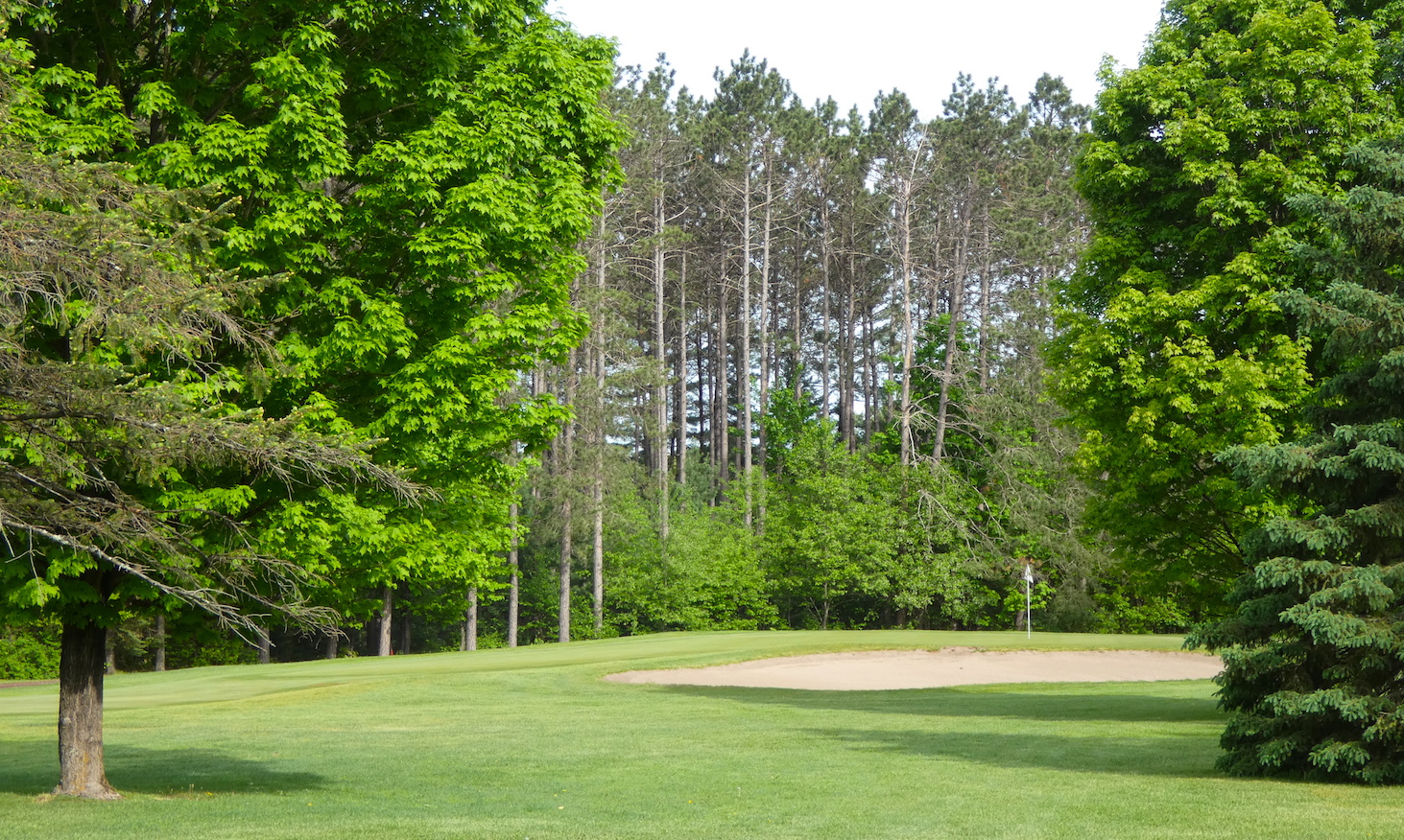 Ladies “Chicks in Green Jackets” Guest Day: July 22nd, Sign-Up Soon ...